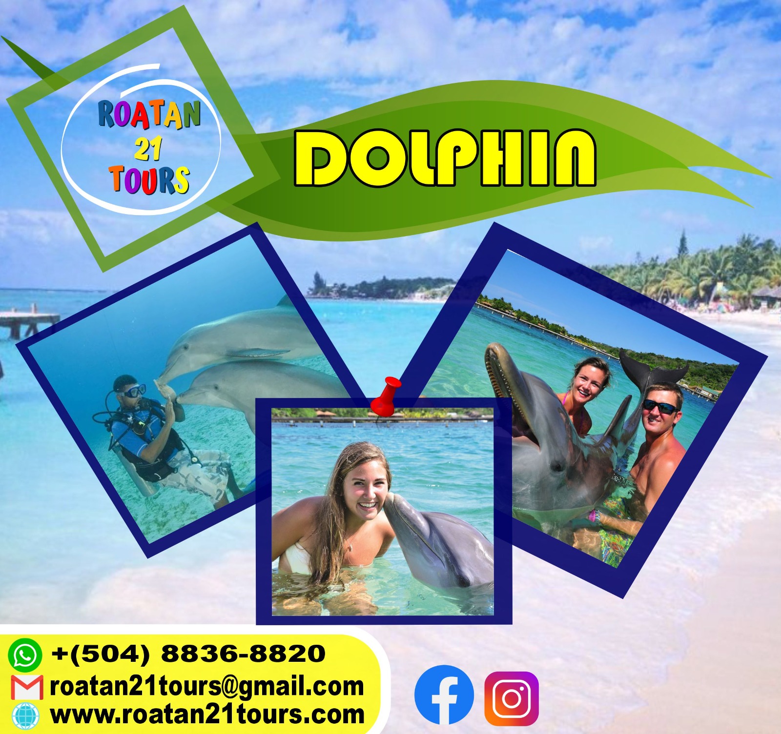 Roatan Dolphins Tour+ Starfish Snorkeling • Roatan 21 Tours