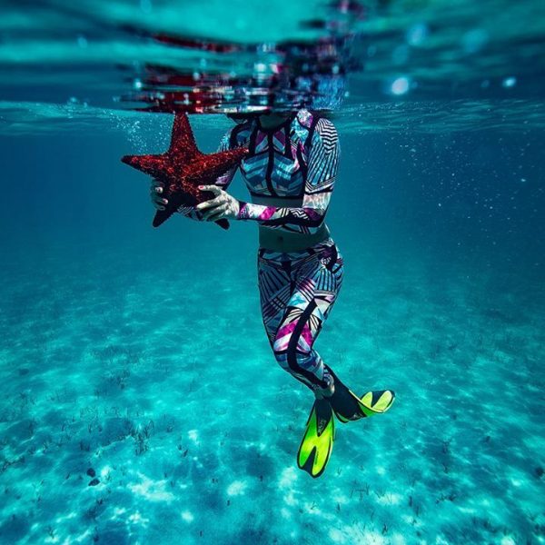 Roatan Dolphins Tour+ Starfish Snorkeling • Roatan 21 Tours